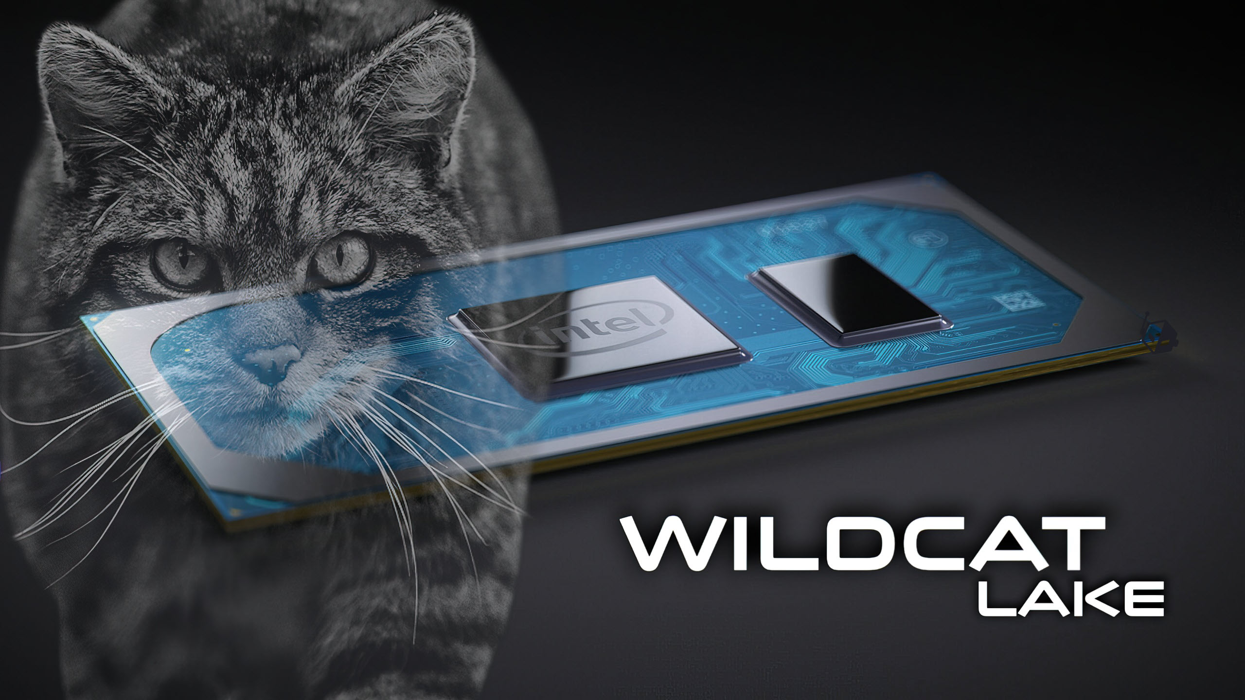 Chip Intel Entry-Level Mengejutkan, Skor PassMark Nyaris Selevel A18 ...